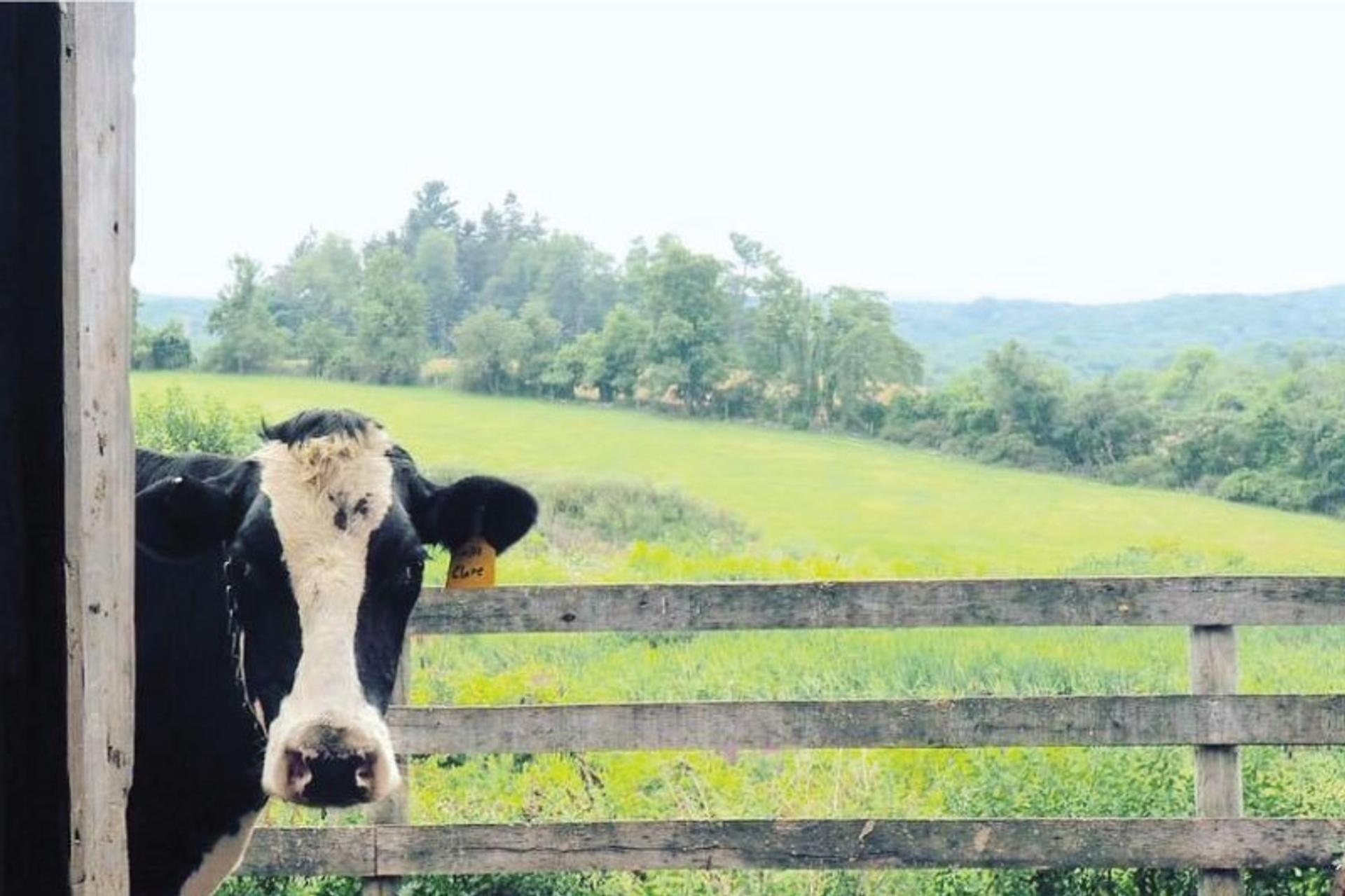 Farm to People
