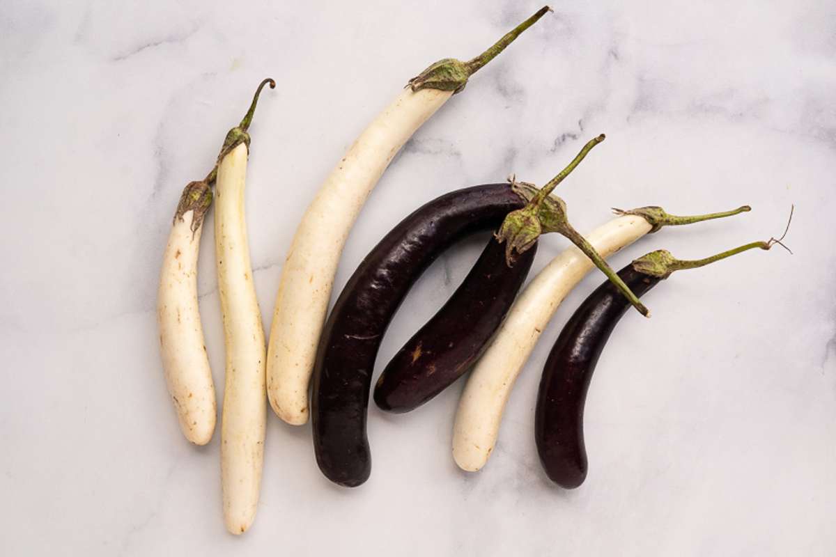 Buy Mixed Eggplant For Delivery Near You | Farm To People