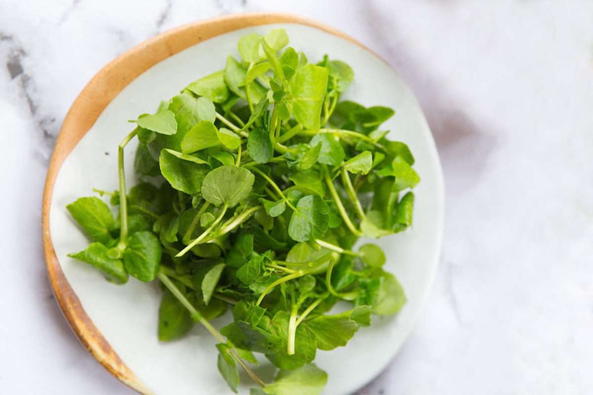 Buy Wild Foraged Watercress For Delivery Near You | Farm To People