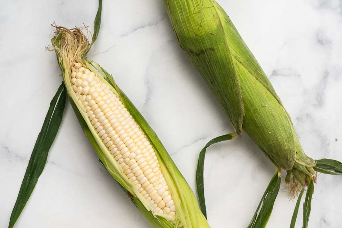 Buy Sweet White Corn For Delivery Near You | Farm To People