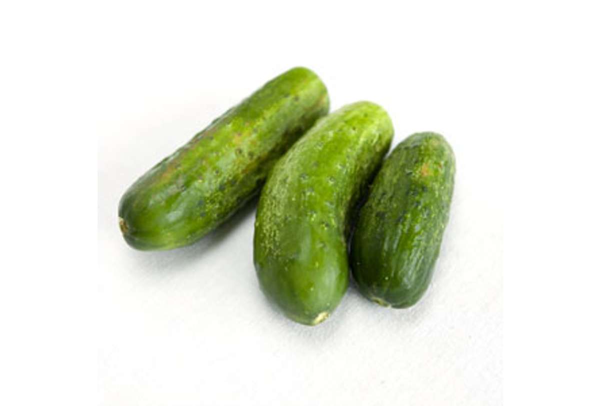 Buy Miniature Greenhouse Cucumbers For Delivery Near You | Farm To People