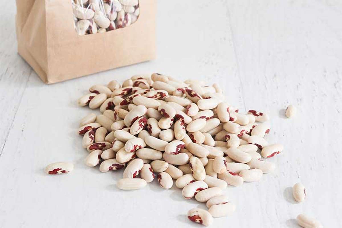 Buy Soldier Beans For Delivery Near You | Farm To People
