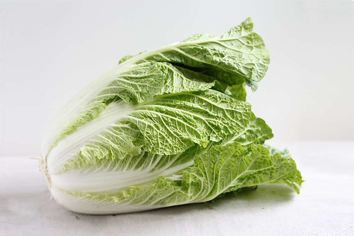 Buy Mini Napa Cabbage For Delivery Near You | Farm To People