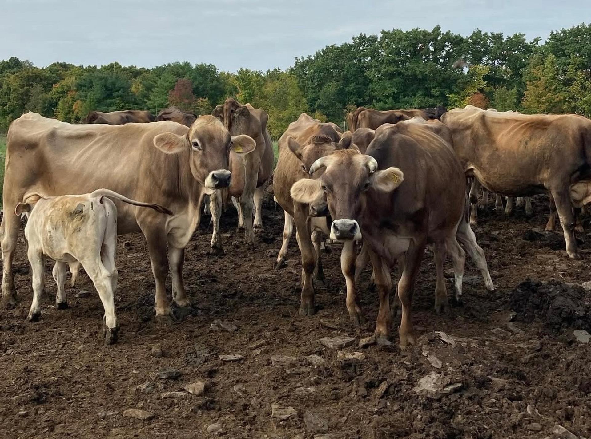 Farm to People