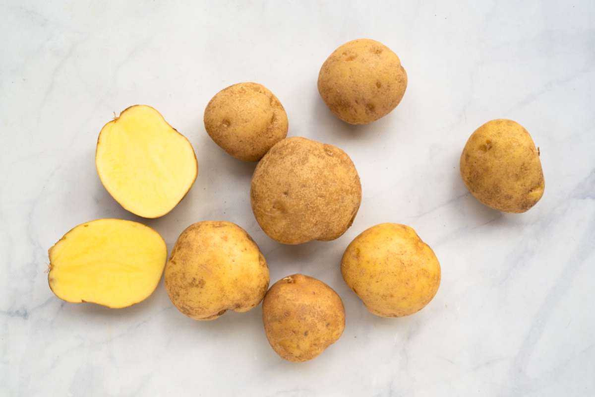 Buy Lehigh Gold Potatoes For Delivery Near You | Farm To People