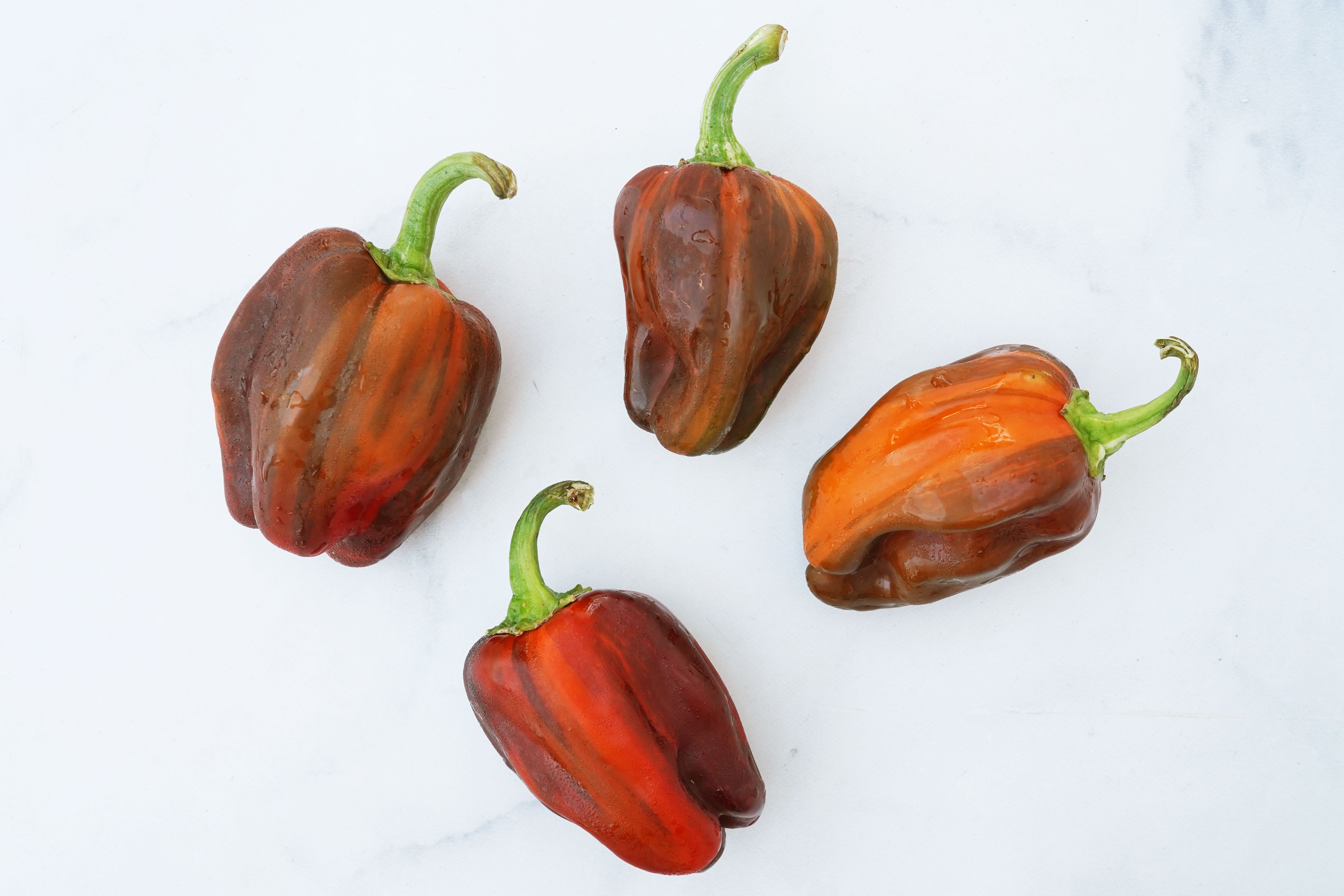 Buy Candy Cane Chocolate Cherry Peppers Organic For Delivery Near You Farm To People
