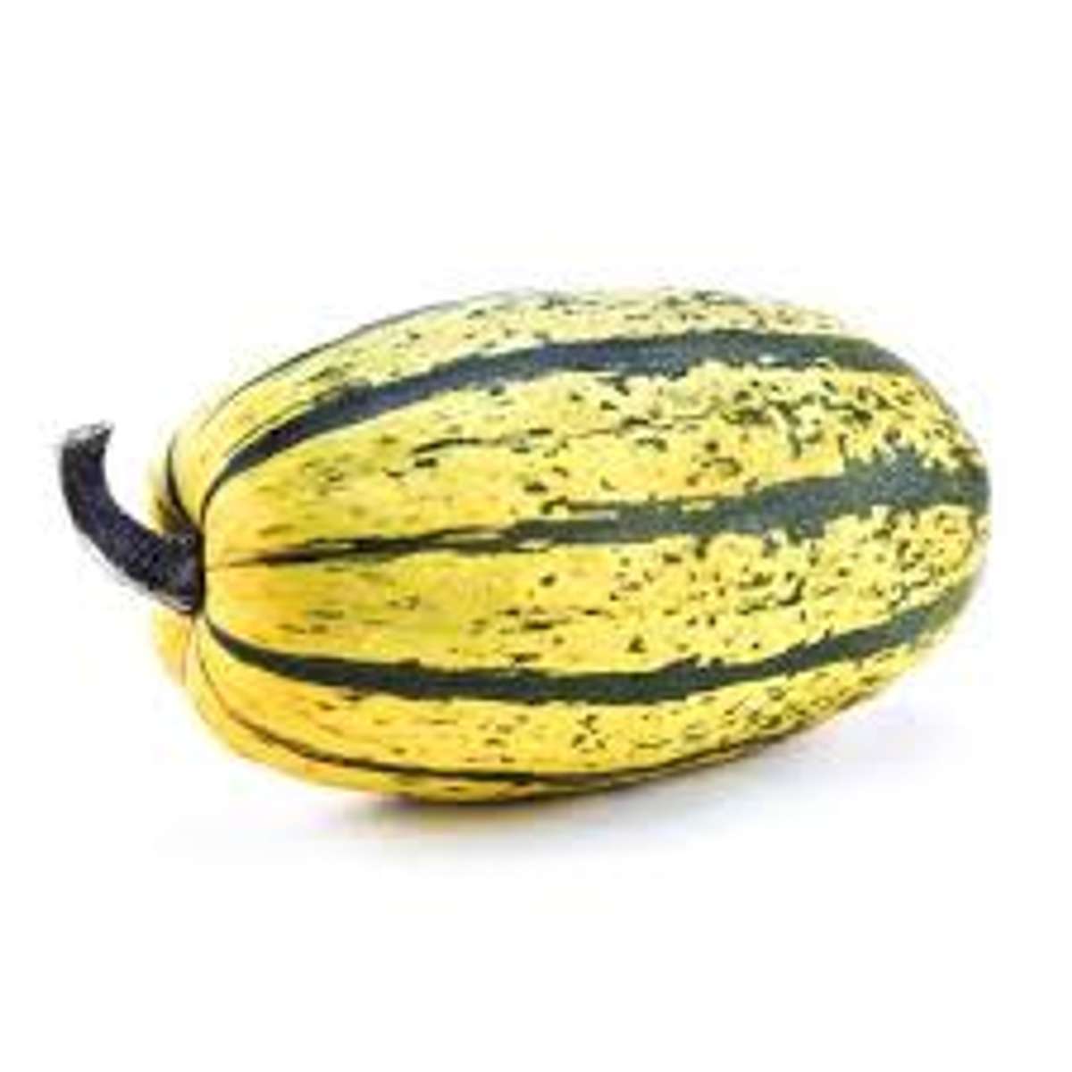 Buy Stripetti Squash For Delivery Near You | Farm To People