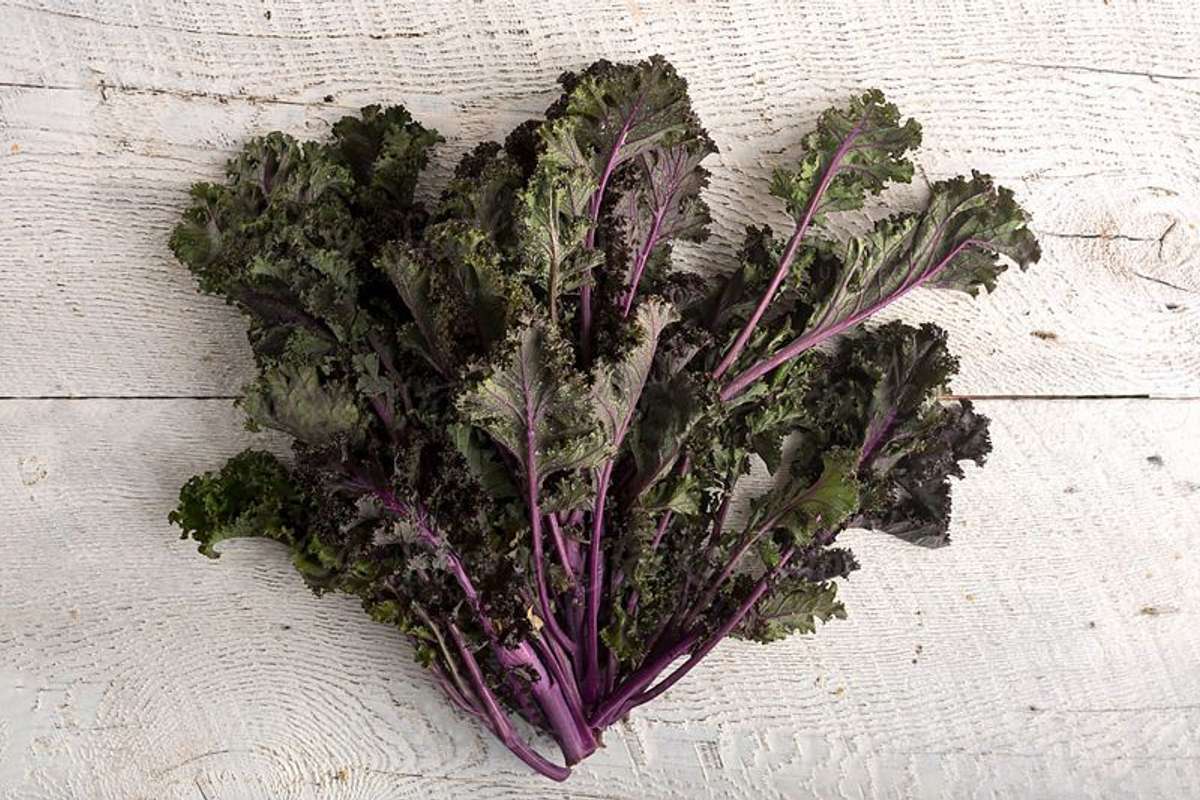 Buy Redbor Kale For Delivery Near You | Farm To People