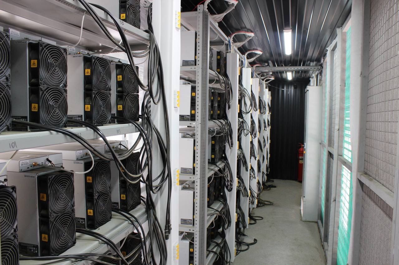 NexMine: Test und Erfahrungen (12/2025) | BTC-ECHO