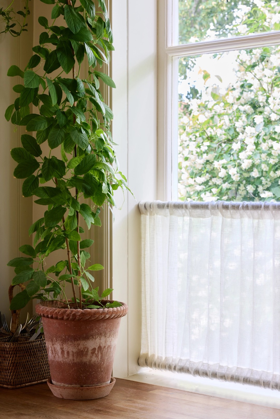 Style Gallery | Gotain