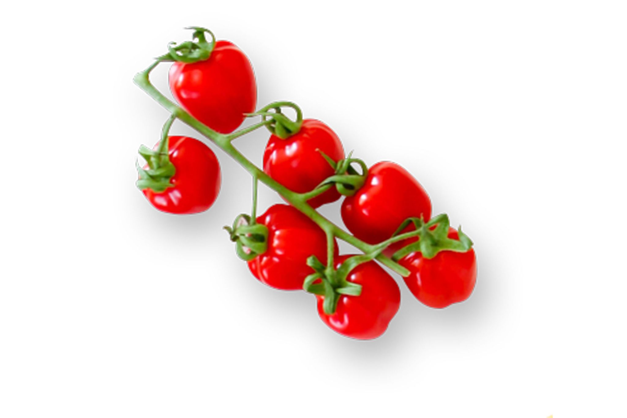 Tomato – Origin, nutrients & meals | Every Foods - Every
