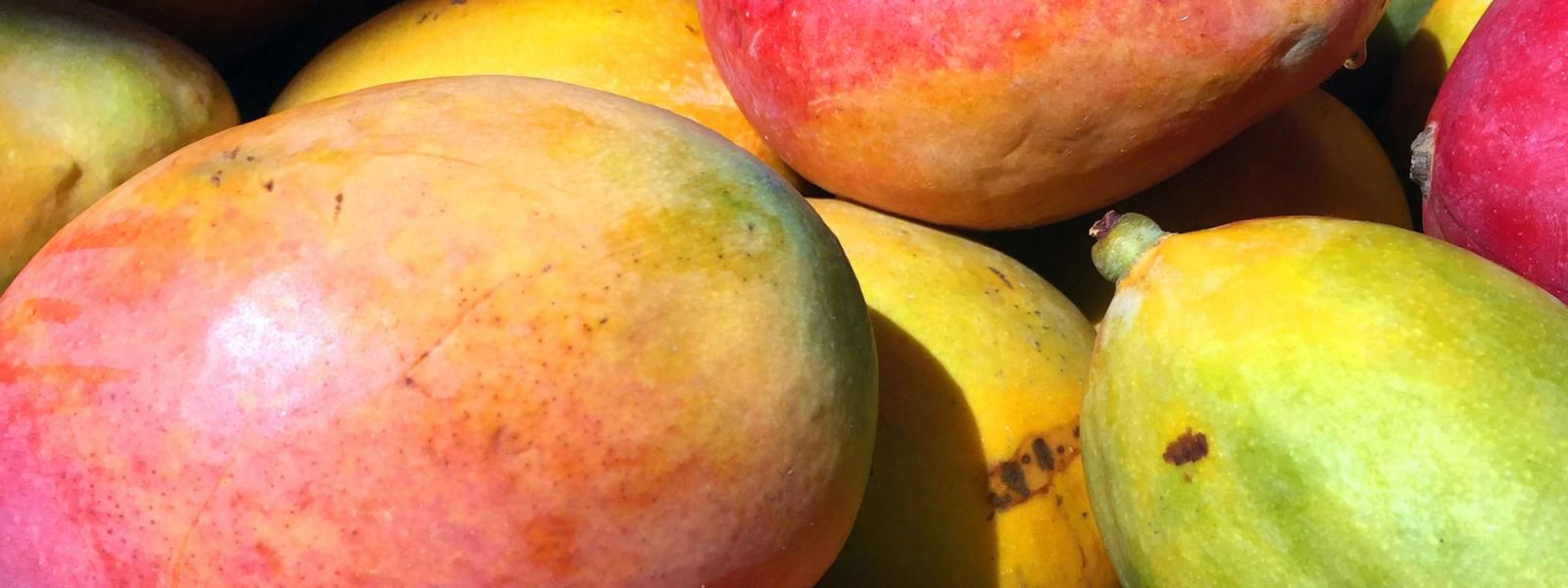 Mango – Herkunft, Nährstoffe & Gerichte | Every Foods - Every