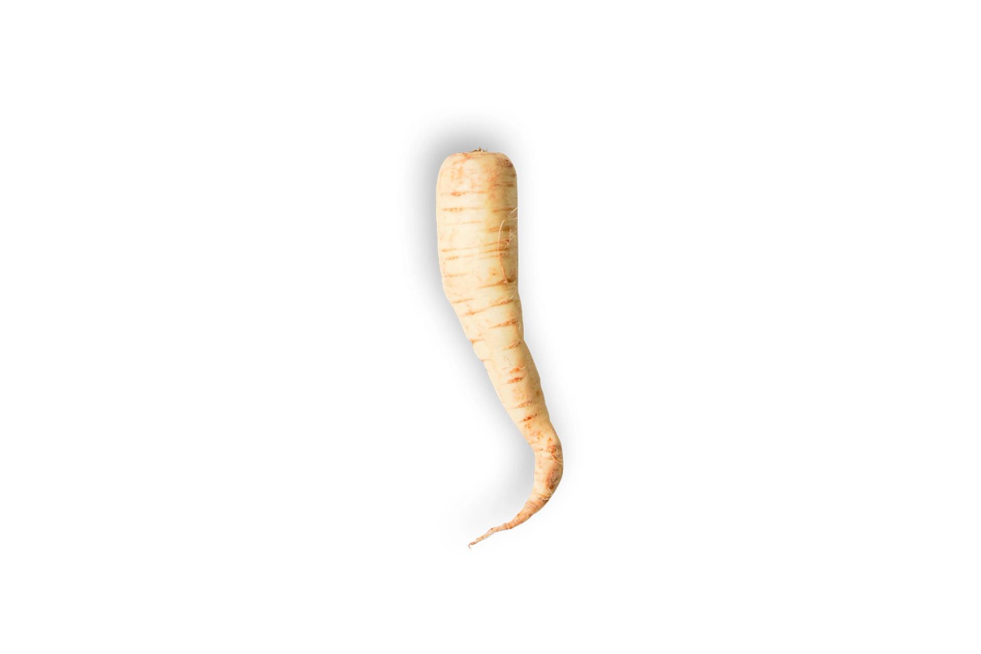 Parsnip – Origin, nutrients & meals | Every Foods - Every