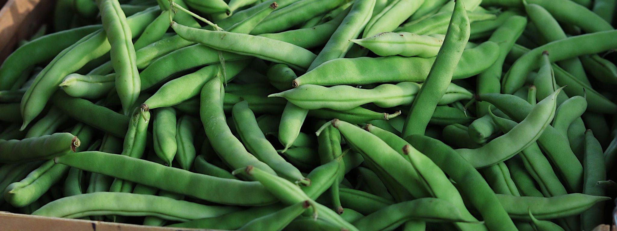 Ackerbohnen – Herkunft, Nährstoffe & Gerichte | Every Foods - Every