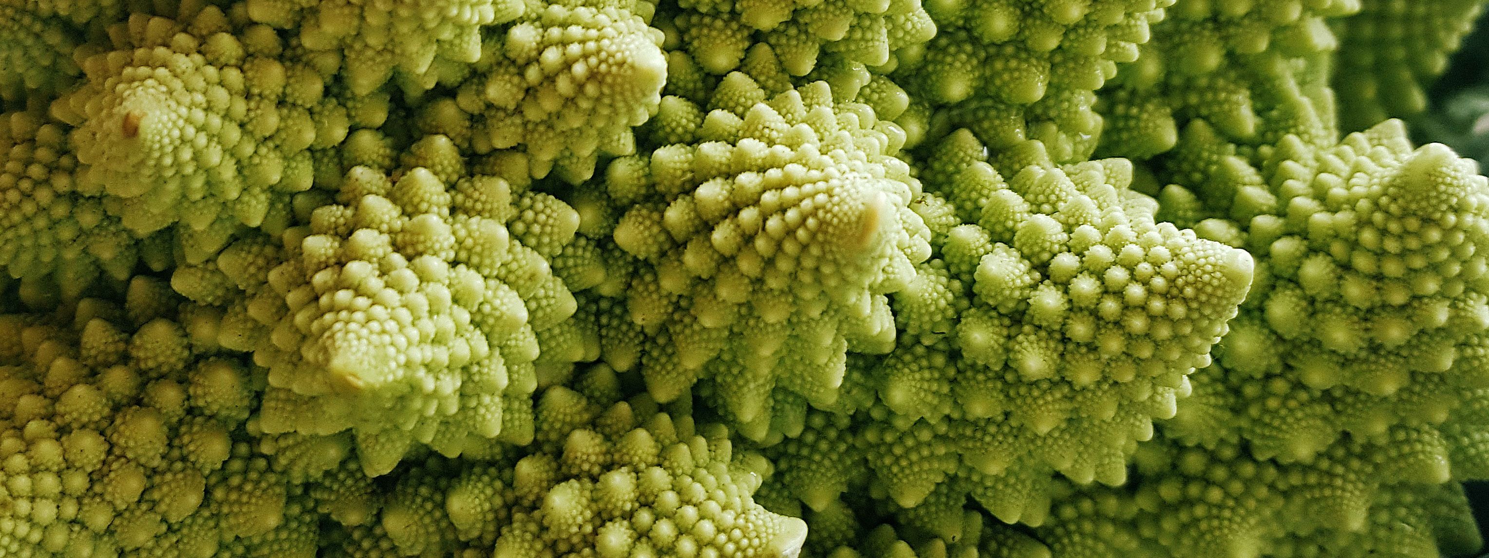 Romanesco – Herkunft, Nährstoffe & Gerichte | Every Foods - Every