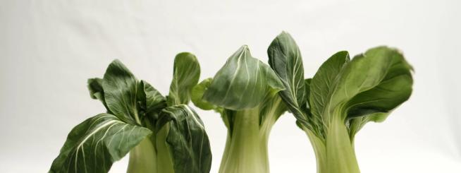 Pak Choi – Origin, nutrients & meals | Every Foods - Every