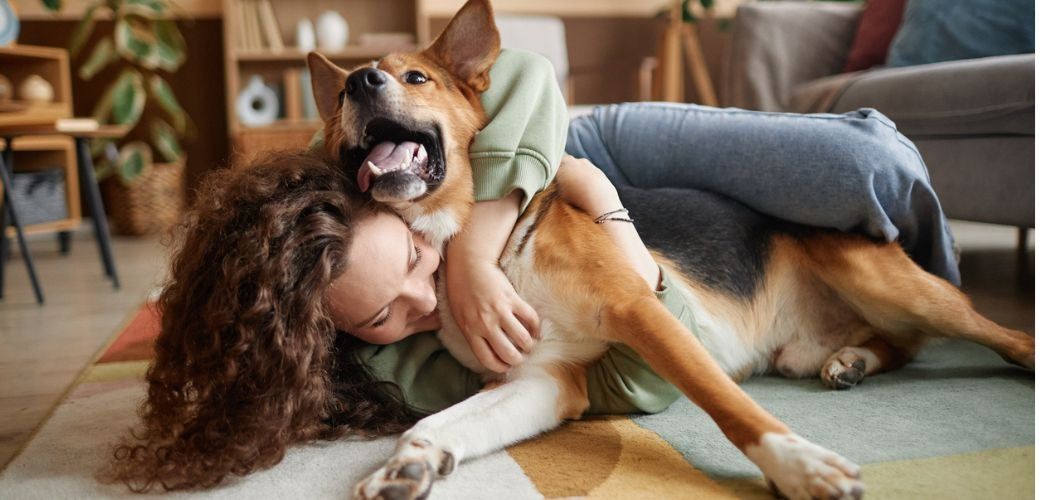 Understanding Pet Insurance Costs