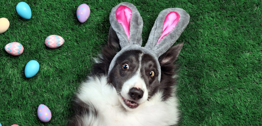 Egg-Citing Easter Treats