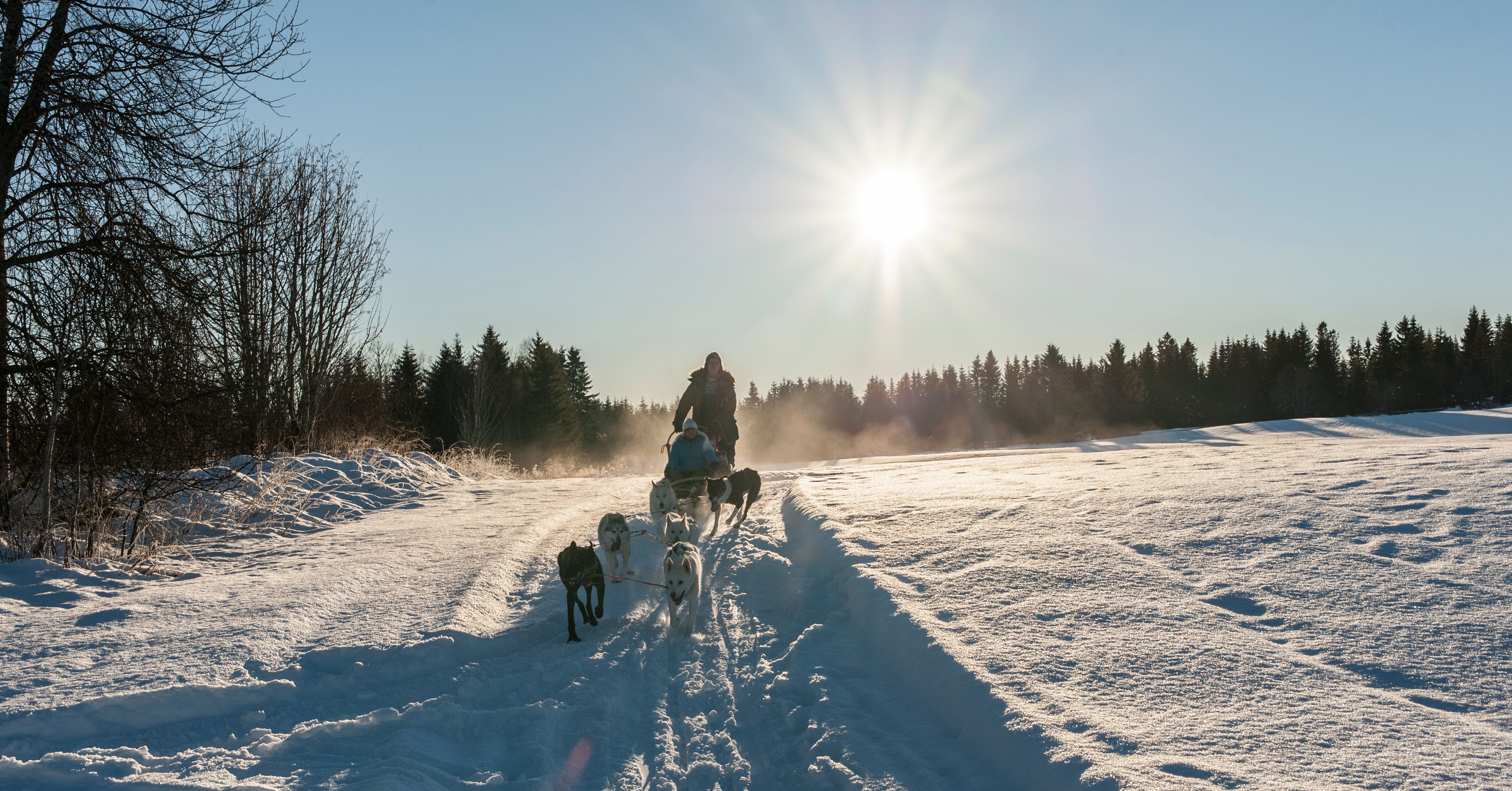 Unike vinteropplevelser | Gjøvikregionen Utvikling
