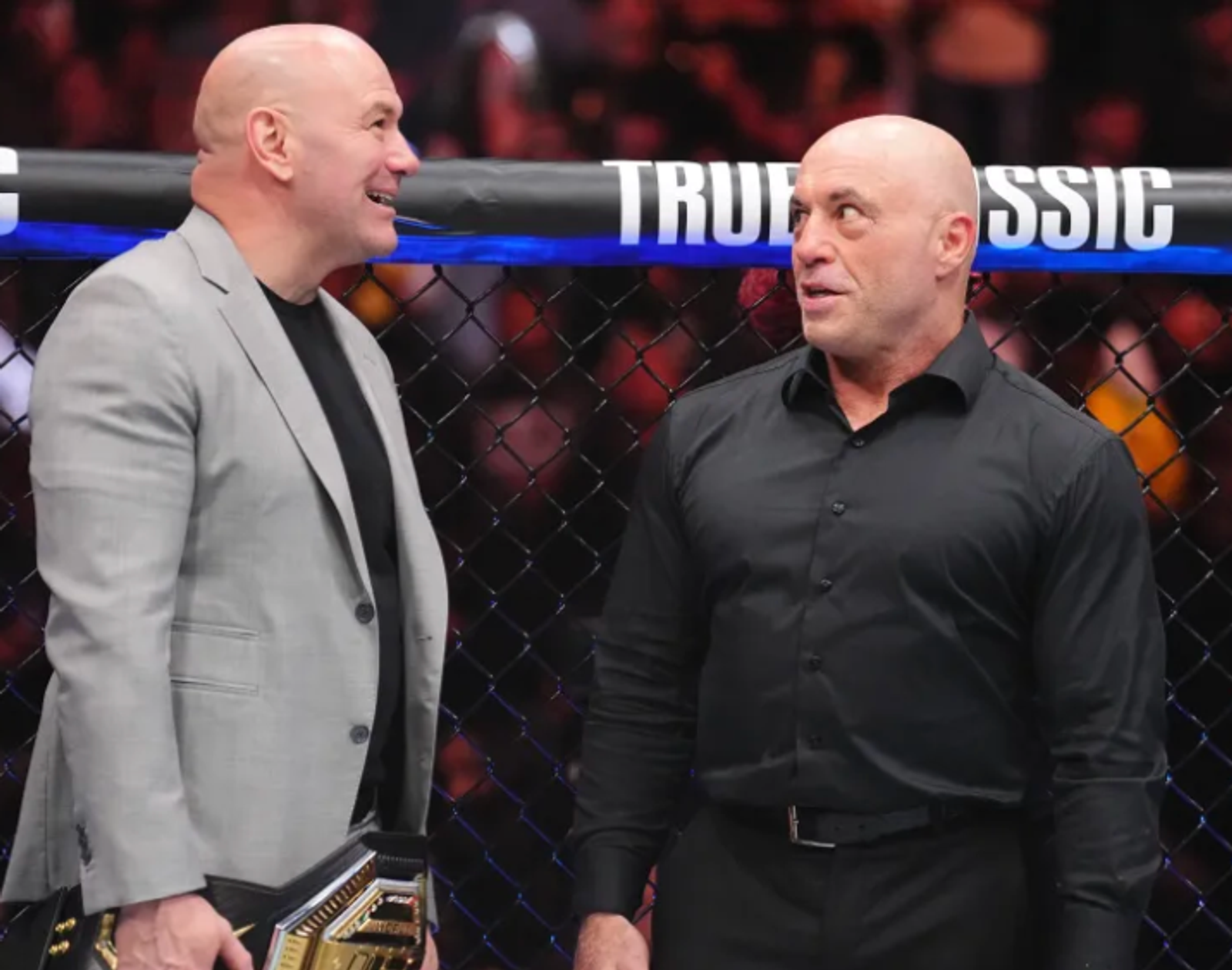 Dana White Predicts Super Bowl Numbers For UFC Freedom 250 | boxingnews.com