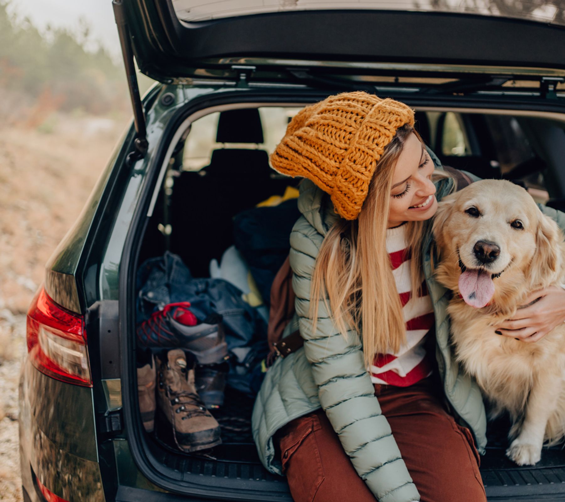 Sikring av bil i dyr | Viking