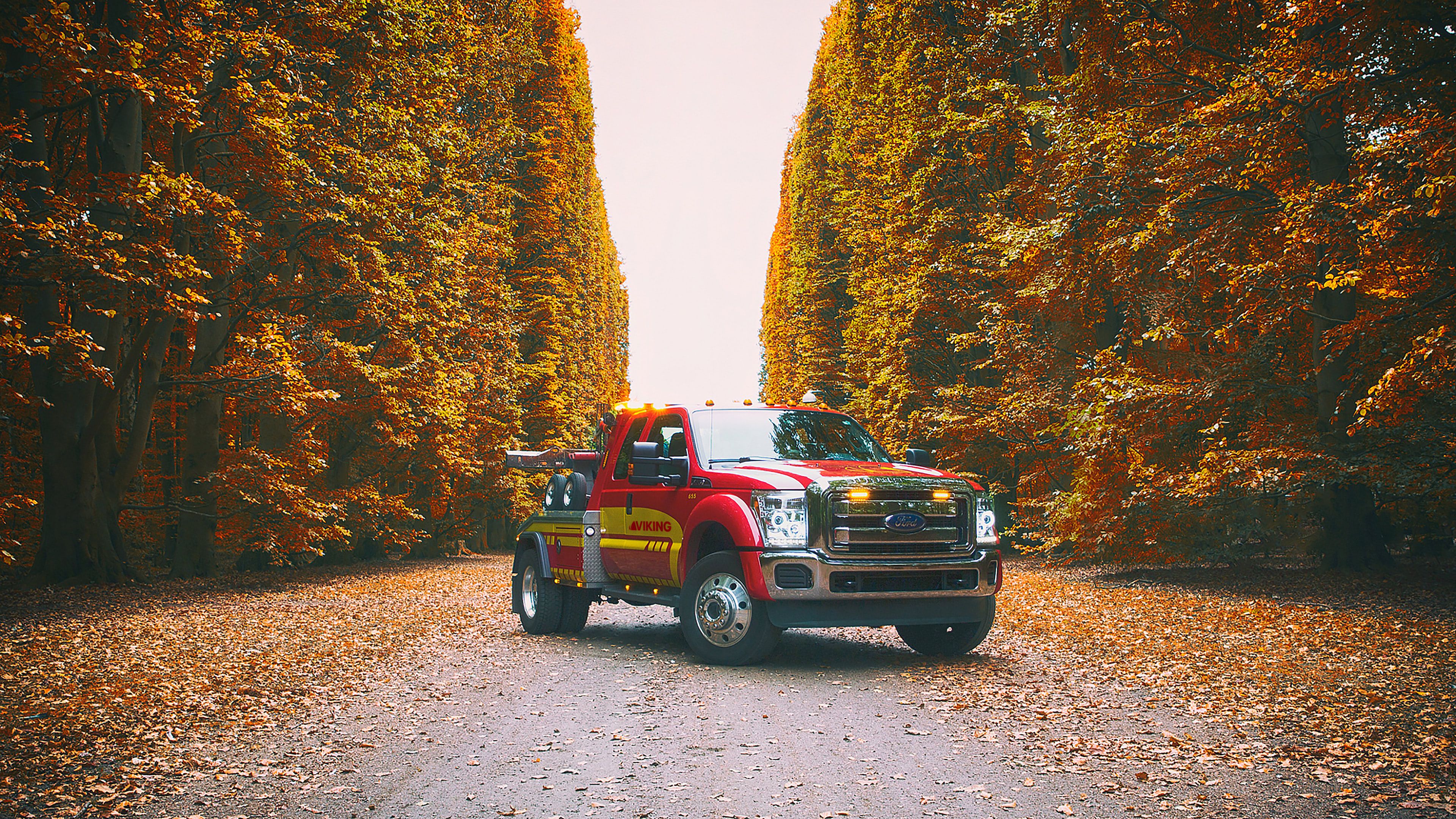 Our services | Viking Assistance