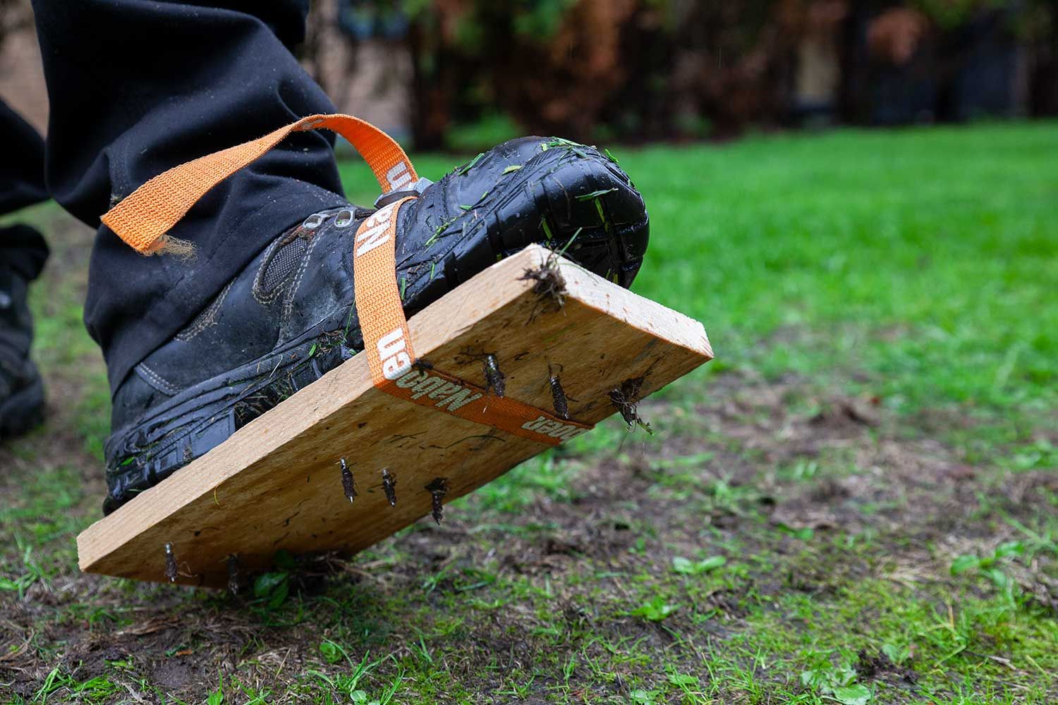 Så ofte bør du lufte plenen