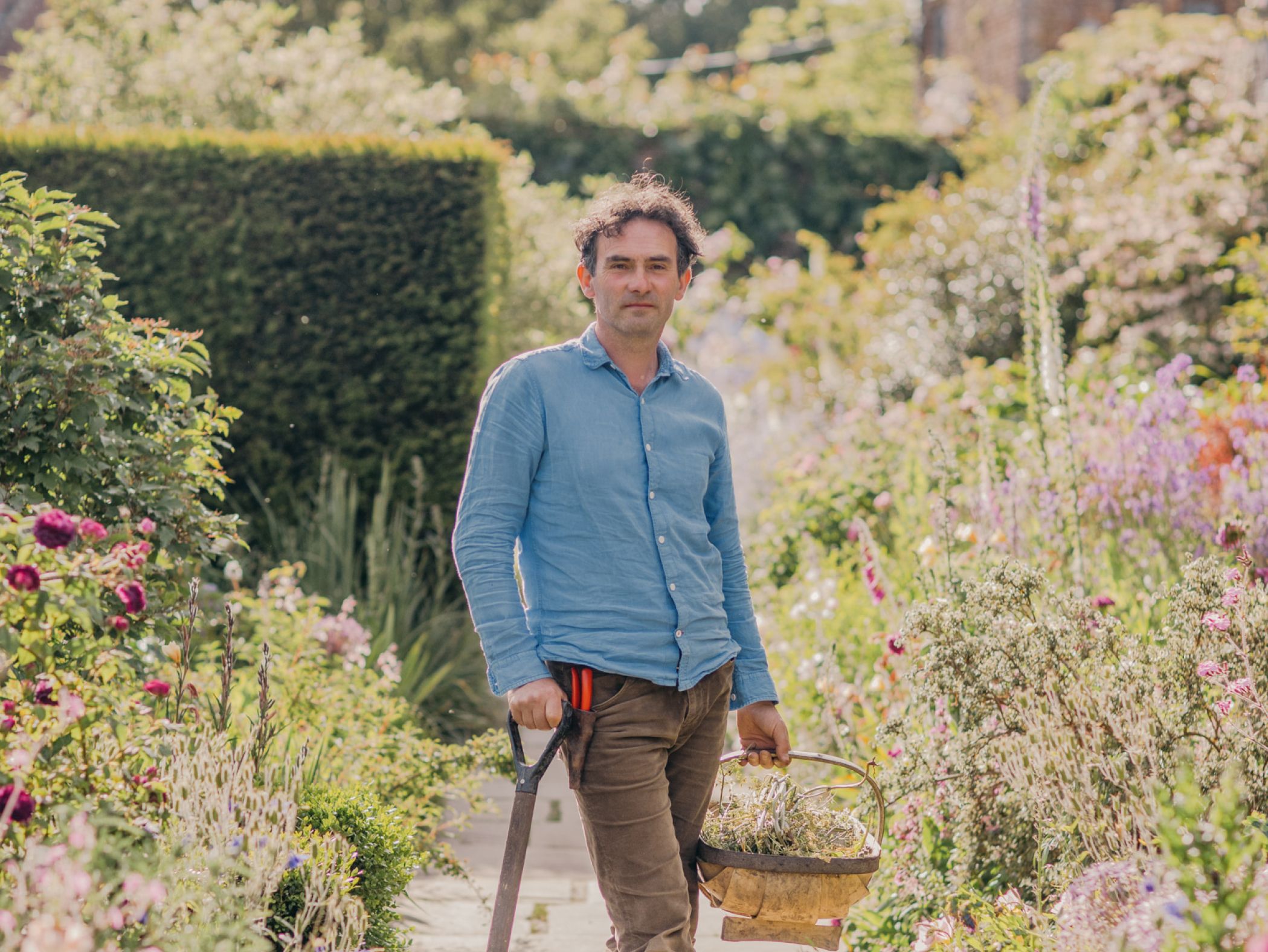 Pruning a shrub rose part 2: Propagation, pests & diseases | Create Academy