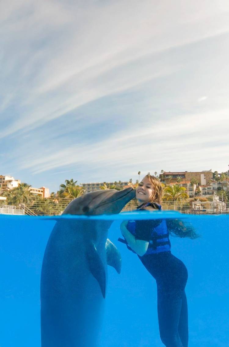Smiling woman in a life jacket receiving a kiss from a dolphin in clear ...