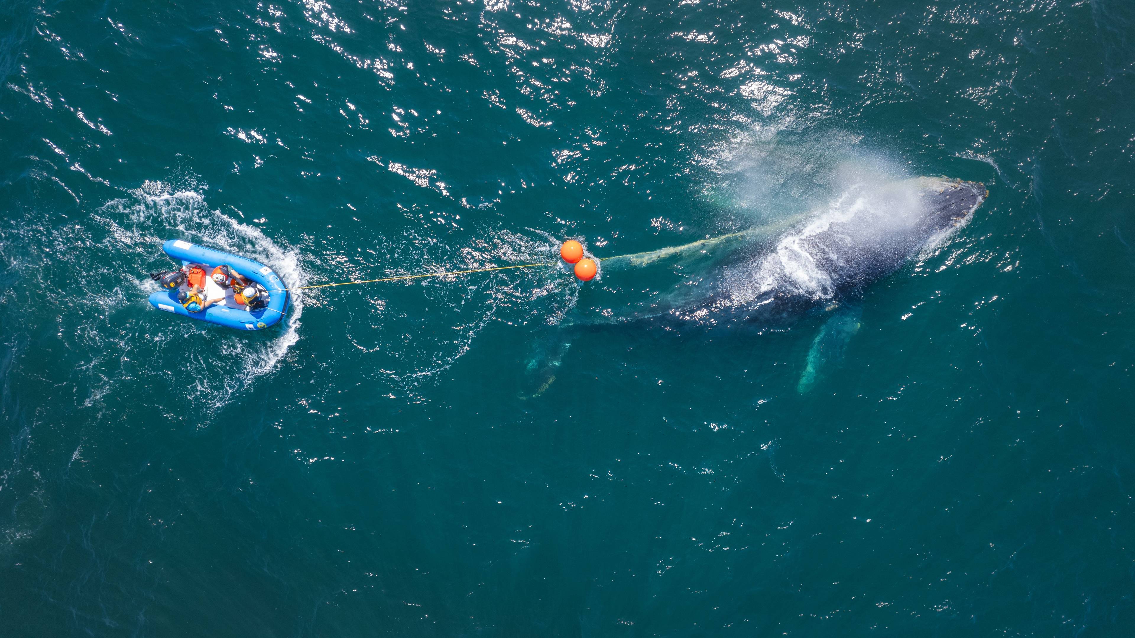 Sustainability & Conservation | Cabo Adventures