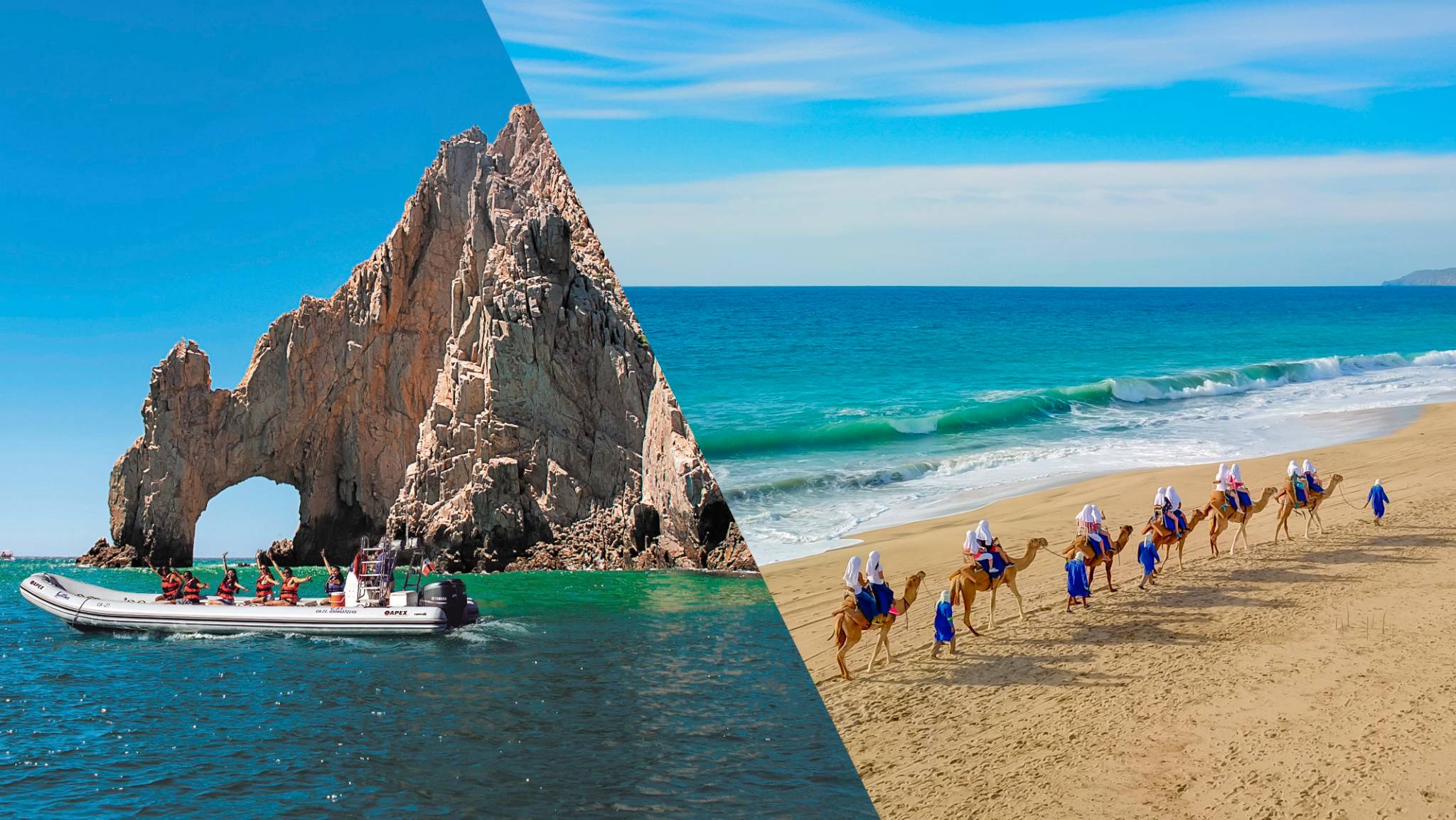 Camels on the beach and a boat in front of the Arch of Cabo San Lucas ...