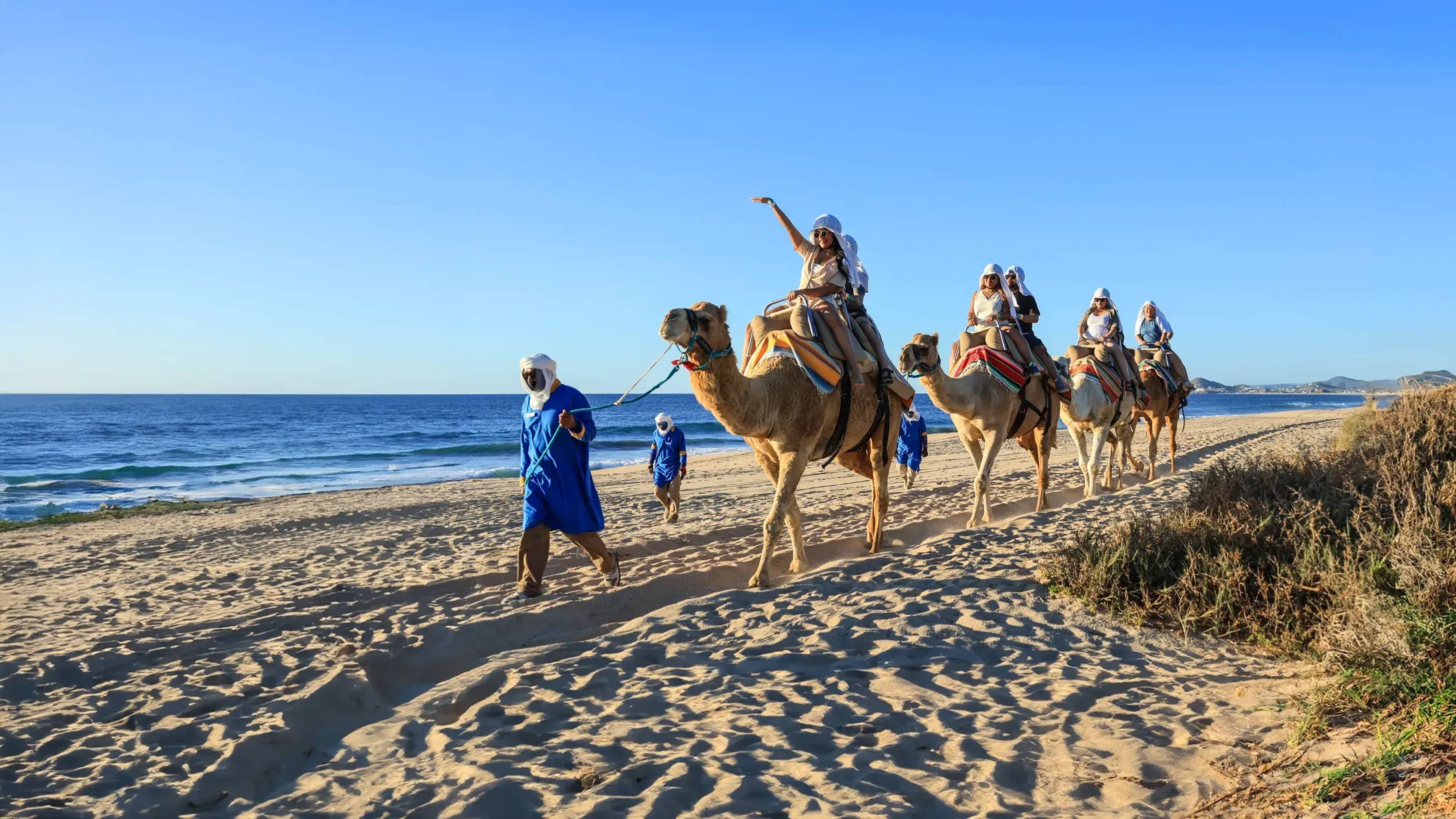 Ofertas Especiales en Tours en Los Cabos | Cabo Adventures