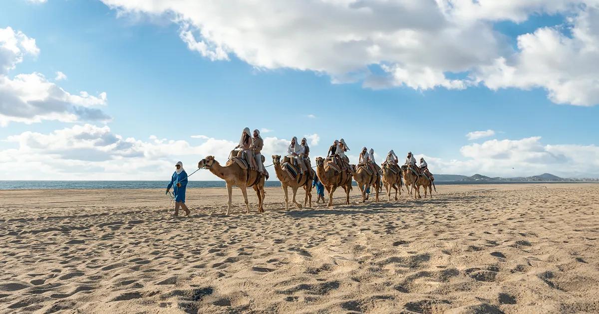 Outback and Camel Ride in Private - Cabo Adventures®