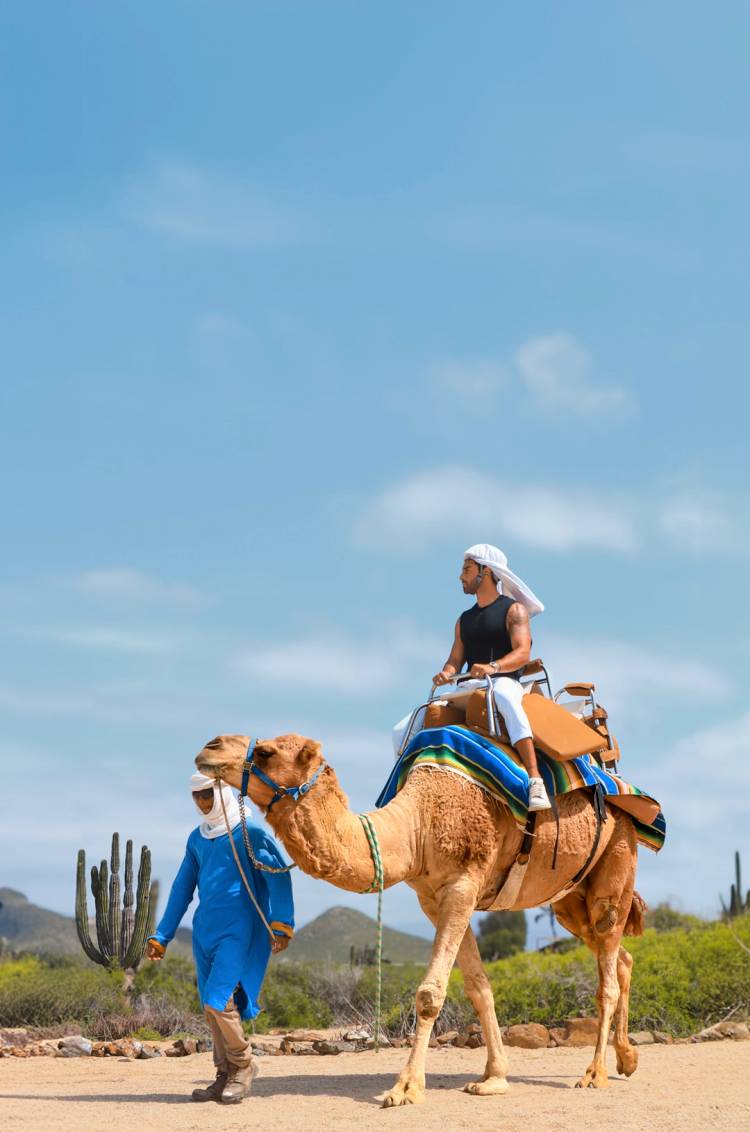 Camel Ride Safari in Cabo - Cabo Adventures®