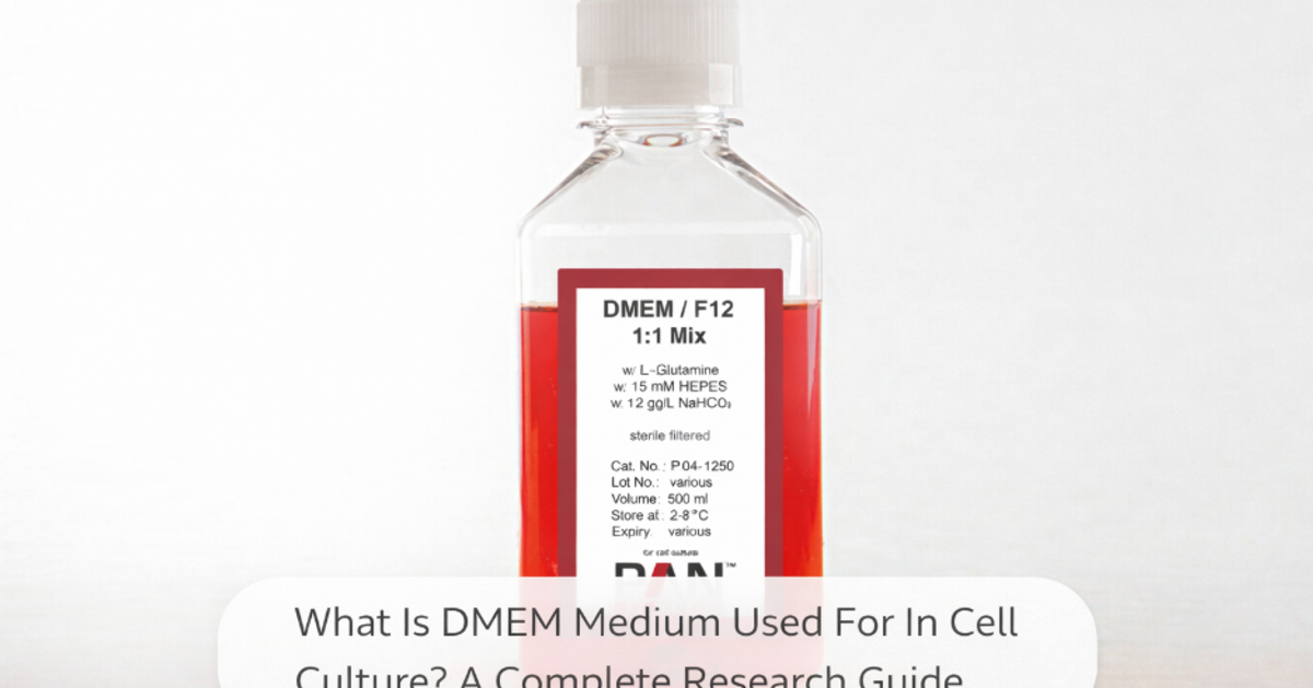 What Is DMEM Medium Used For In Cell Culture? A Complete Research Guide ...