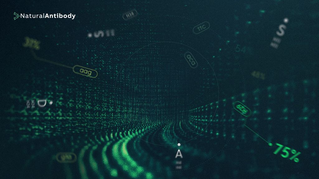 Introduction to antibody numbering