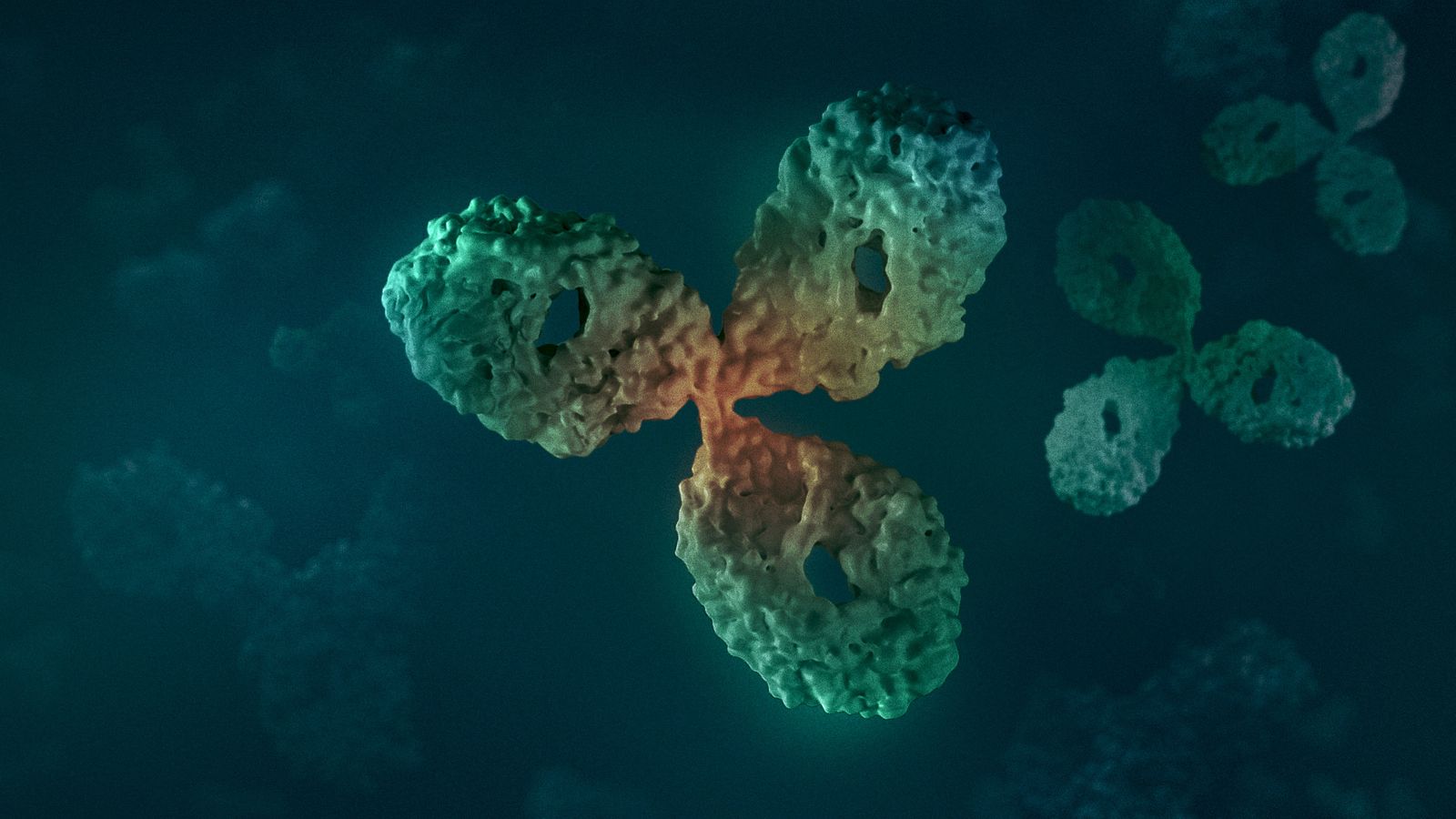 Use Cases & News | Antibody Engineering Insights – NaturalAntibody