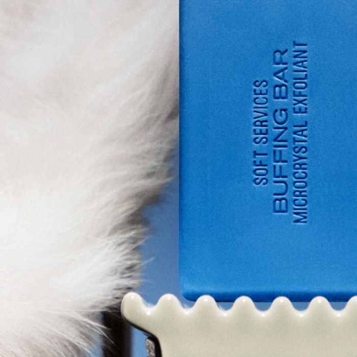 Buffing Bar Gift Set | Ceramic Dish + Metal Cover | Soft Services | the ...