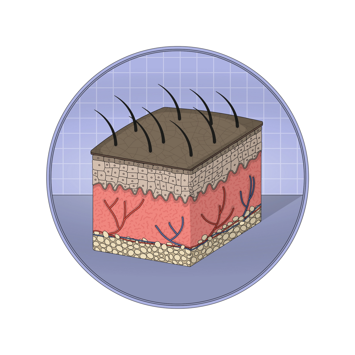 Dry Skin On Body | What Causes Dry Skin? - Dry Patches on Skin | Soft ...