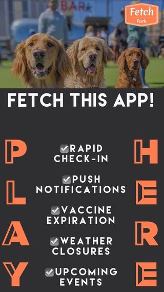 Fetch Park - Dog Friendly Social Hub