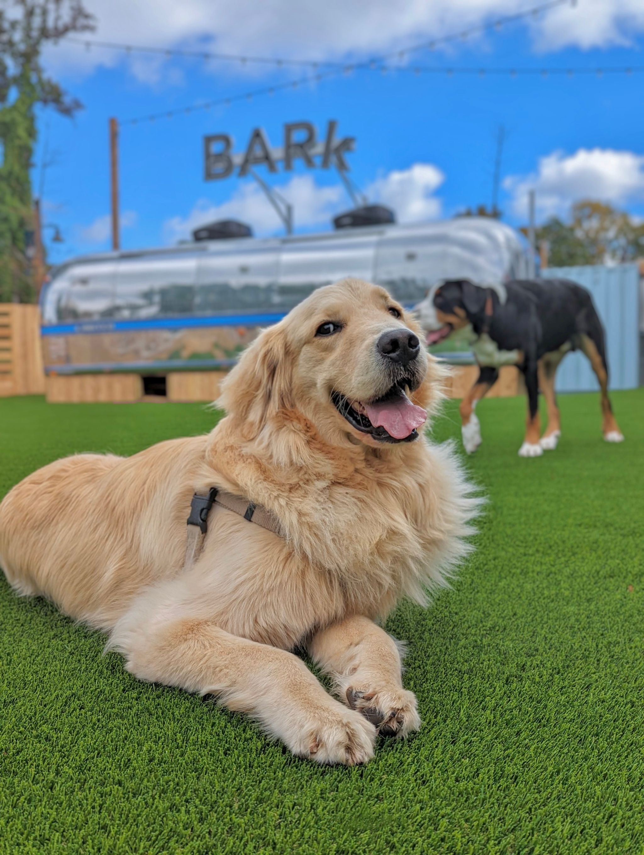 Fetch Park - Locations