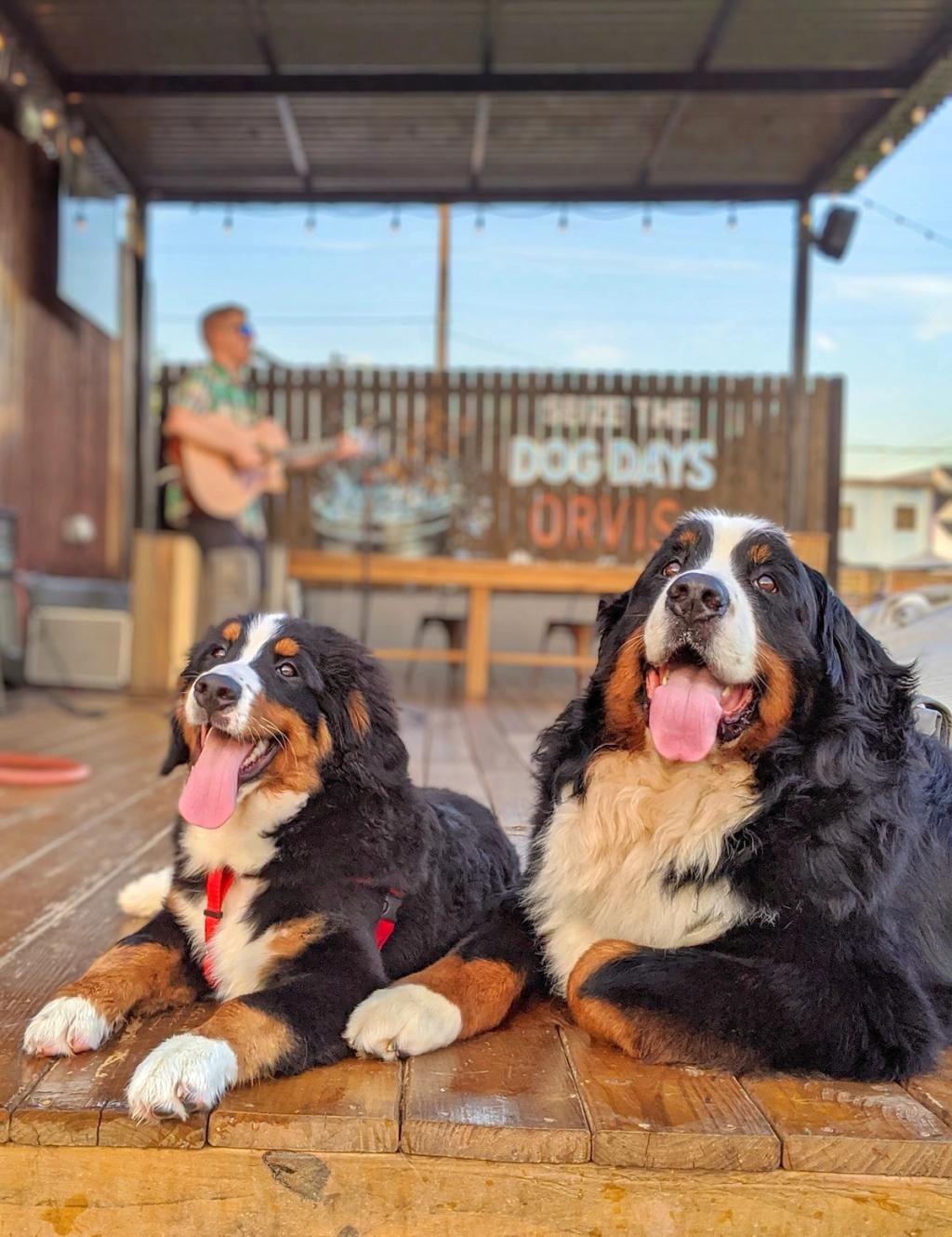 Fetch Park - Locations