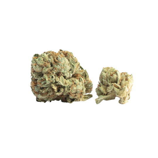 Alien Runtz | Ounces | Weed Delivery NYC & NJ | Armsacres