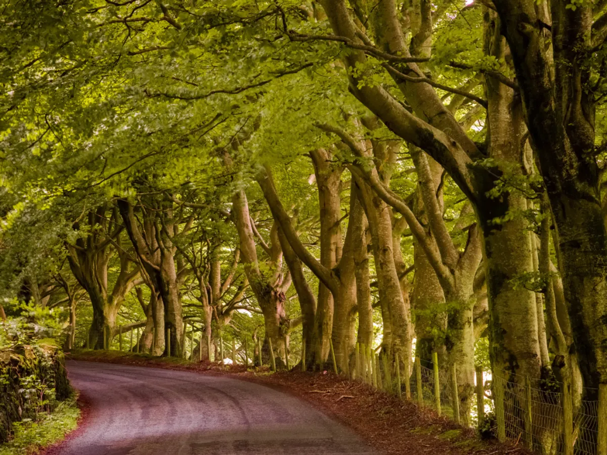 14 Magical Stops on Your Self-Drive Ireland Road Trip for an ...
