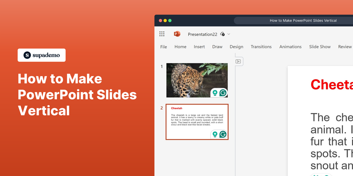 How to Make PowerPoint Slides Vertical | Supademo Blog