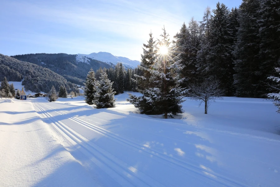 Night Cross-Country Skiing Cup Klosters