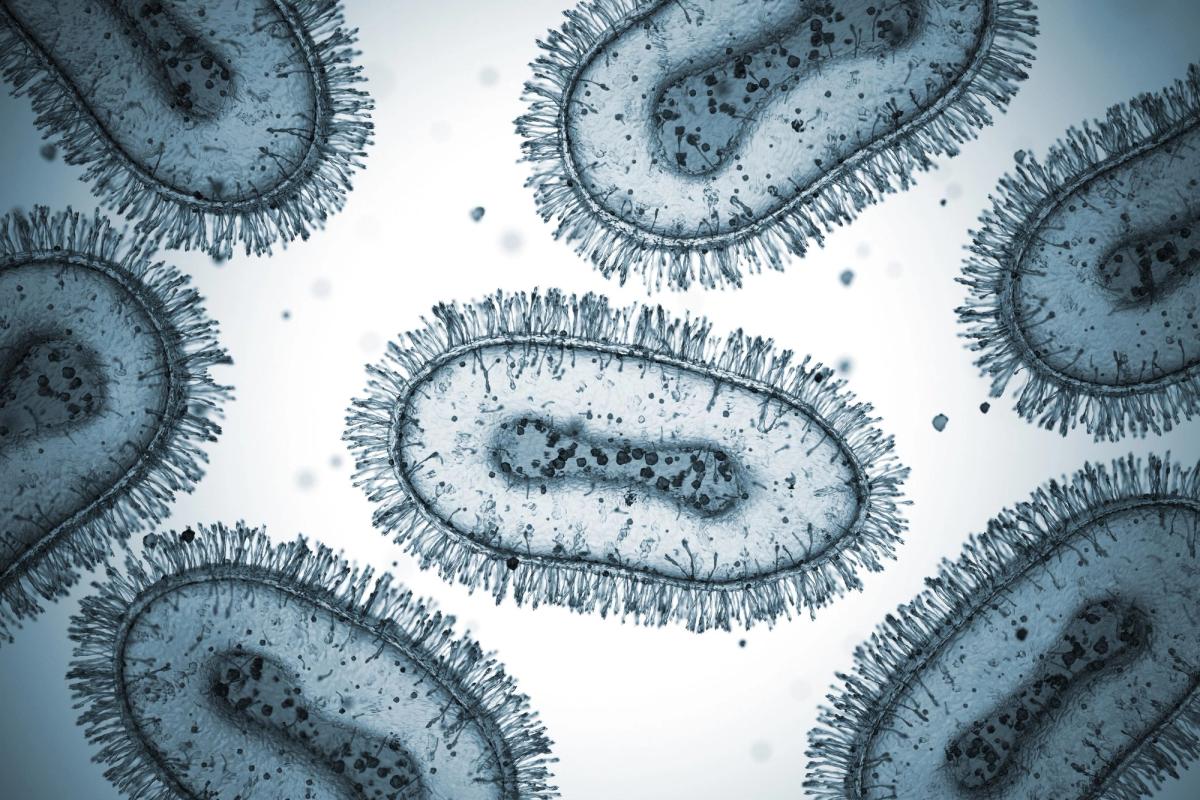 5 Facts You Need to Know About Monkeypox