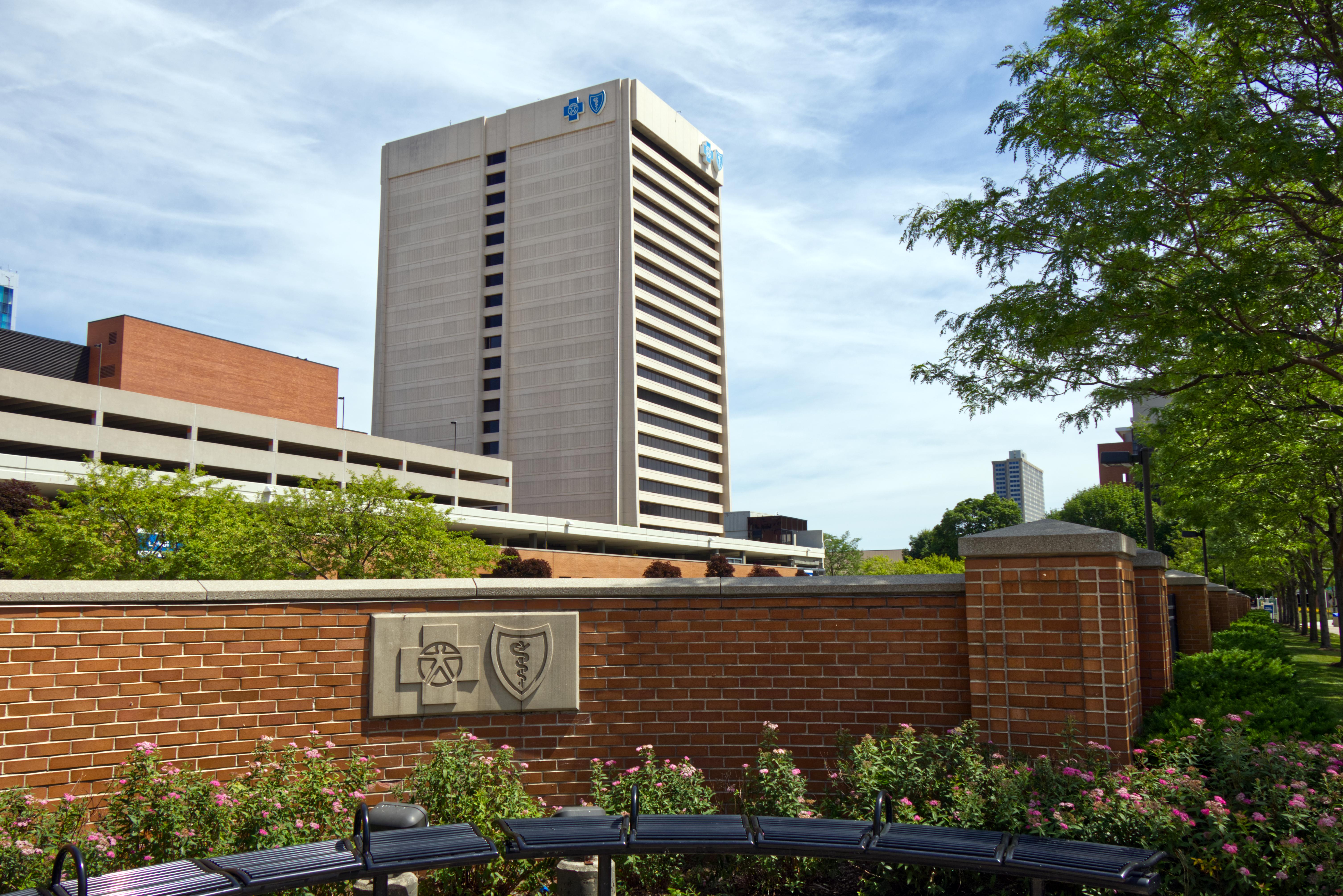 Blue Cross Blue Shield of Michigan Reports 2024 Financial Performance