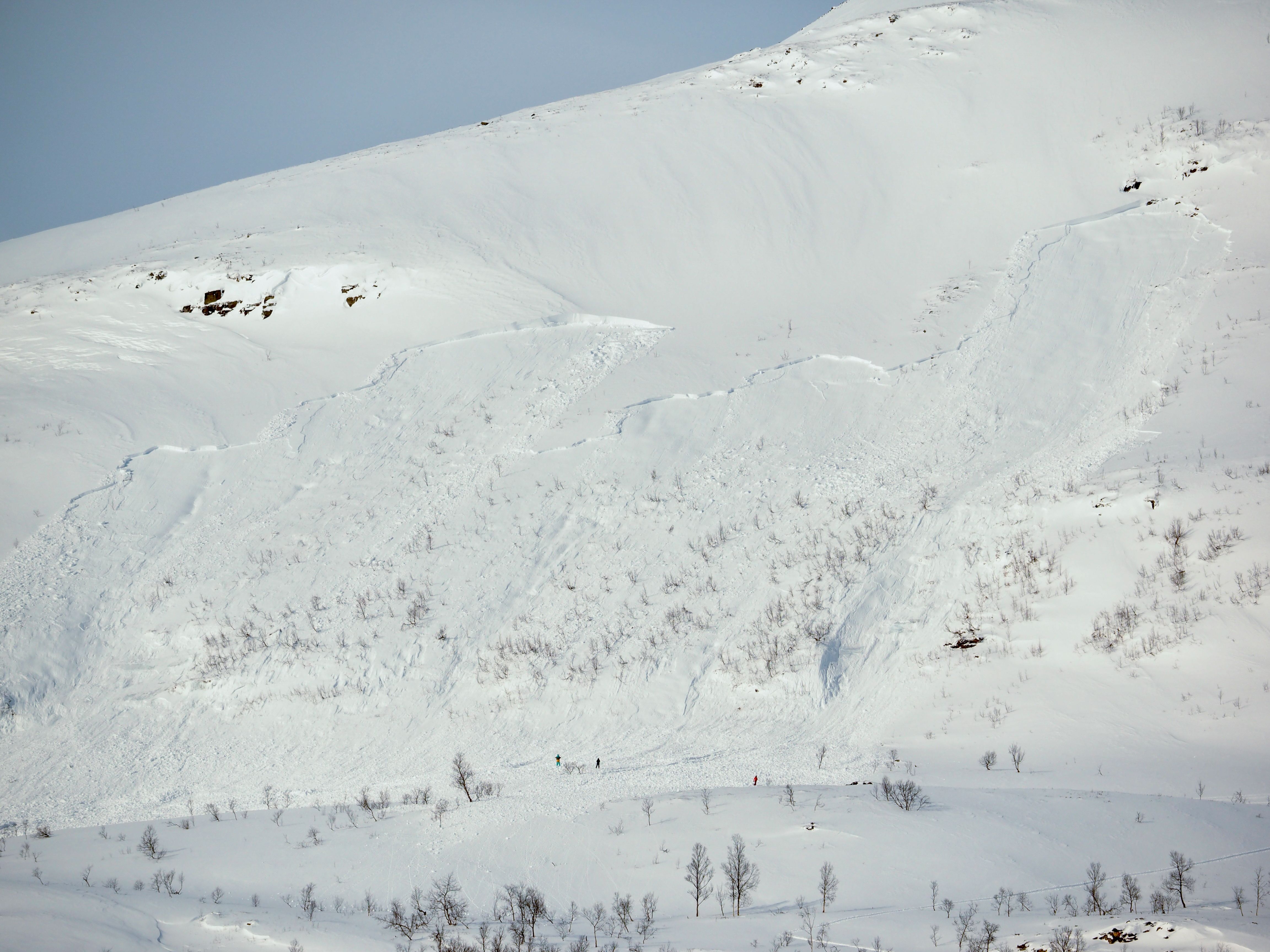 Avalanche Burial Facts and Statistics · Safeback | Avalanche Survival Gear