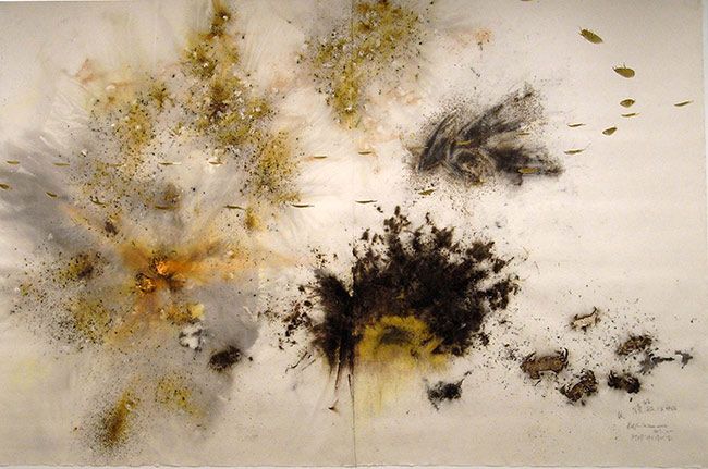 Cai Guo-Qiang: Fallen Blossoms